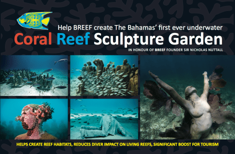 BREEF Coral Reef Statue Garden | Jump - Sail - Dive
